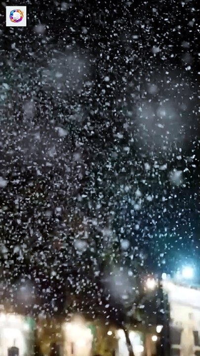 Reborn, what's wrong with the young lady being a l [Full Movie] [Full ...