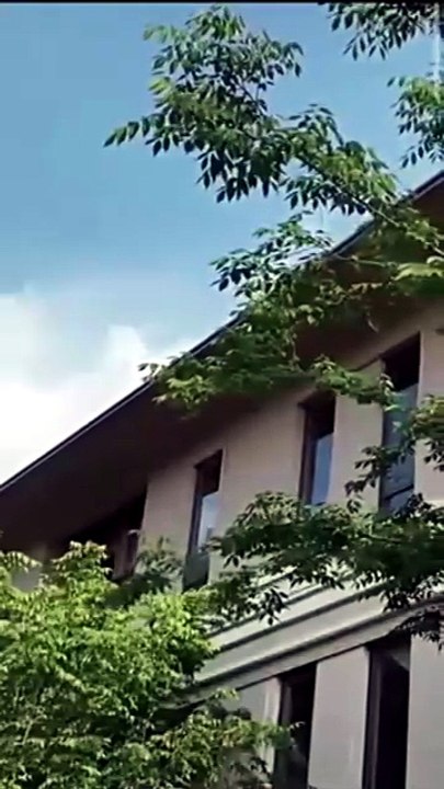 ...two's ...company ...three's ...a ...crowd ...chinese ...drama [Full ...