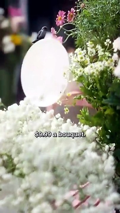 ...the ...lie ...that ...bound ...us ...chinese ...drama [Full Movie ...