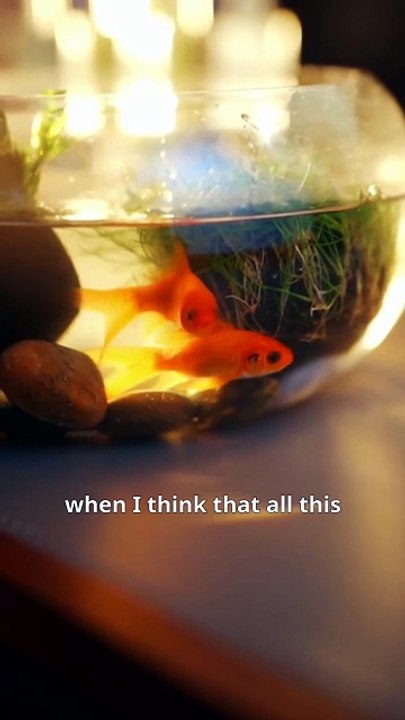 ...the ...rescue ...i ...never ...had ...chinese ...drama [Full Movie ...