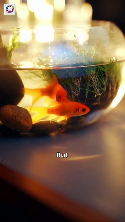 the rescue i never had [Full Movie] [Full Story]Full EP - Full - video ...