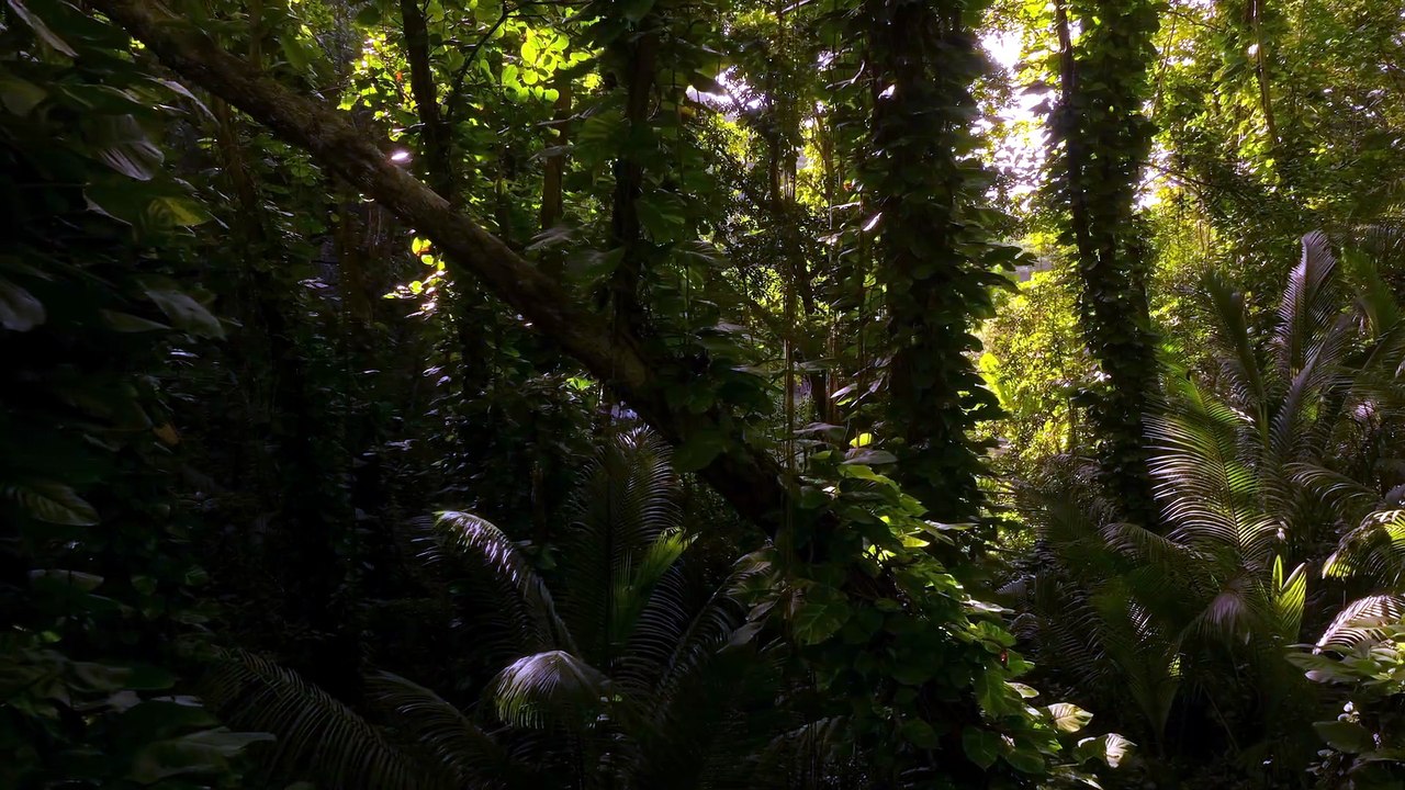 Watch The Dinosaurs Season 1 Episode 4 Full Episode HD Online 2026 ...