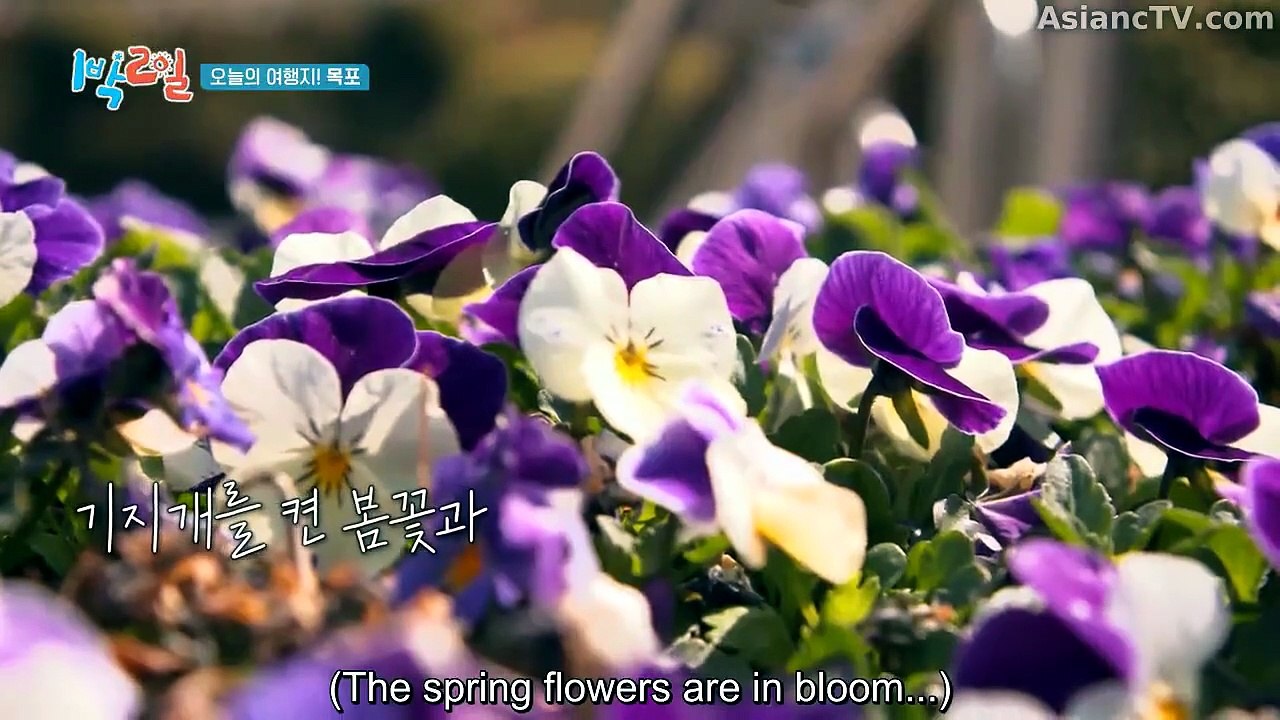 ...EP.319 ...2 ...Days ...& ...1 ...Night ...S4 [Full Movie] [Full ...