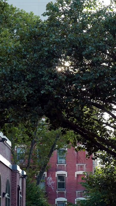 My Surprise CEO Husband 2026 #moboreels - video Dailymotion