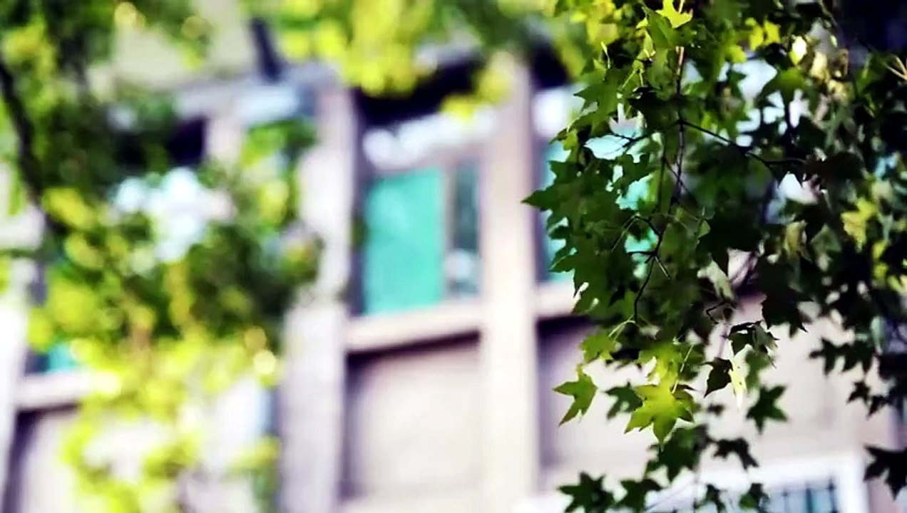 Feel What You Feel Episode 6 Engsub - video Dailymotion