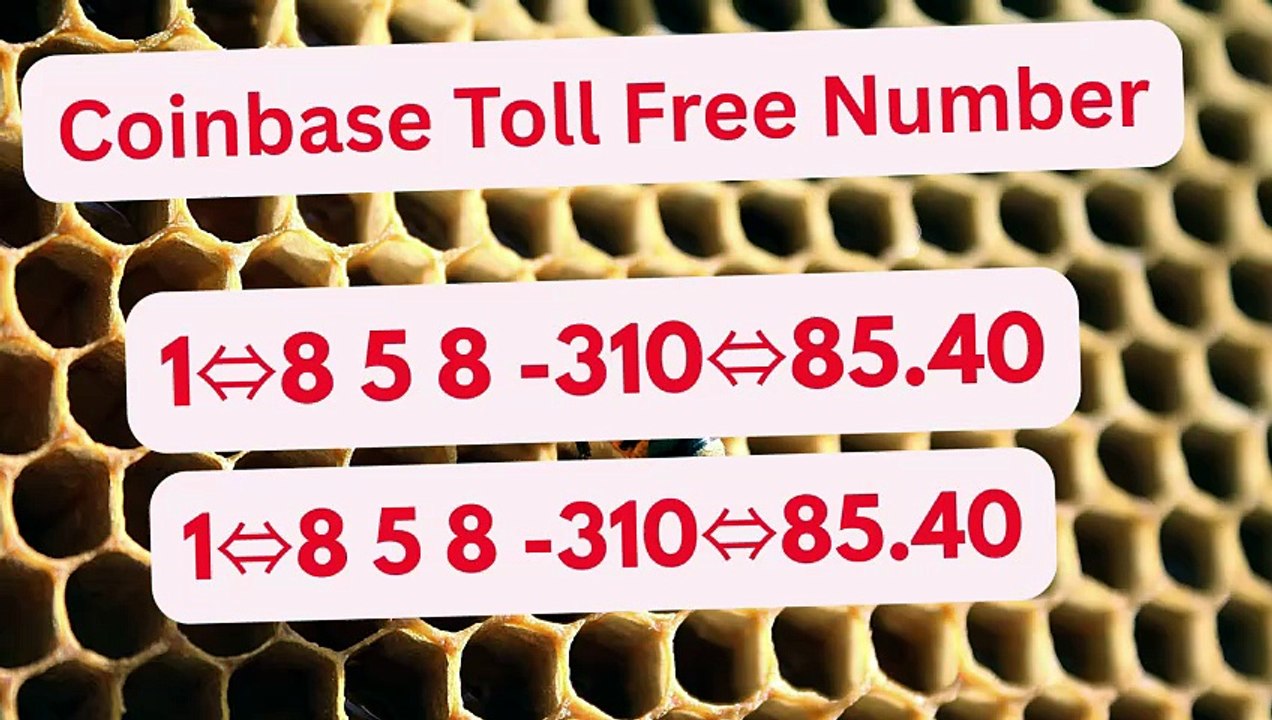 Fu**™ List Of Co.inBase™ CUSTOMER™ SUppOrT™ Numbers In USA: An Updated ...