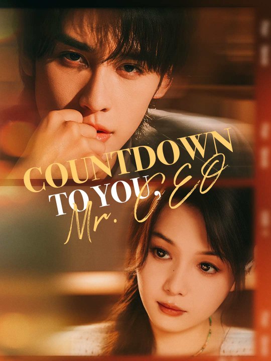 Countdown to You, Mr. CEO - video Dailymotion