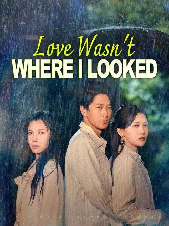 Love Wasn't Where I LookedDUBBED - Full Chinese Drama - video Dailymotion