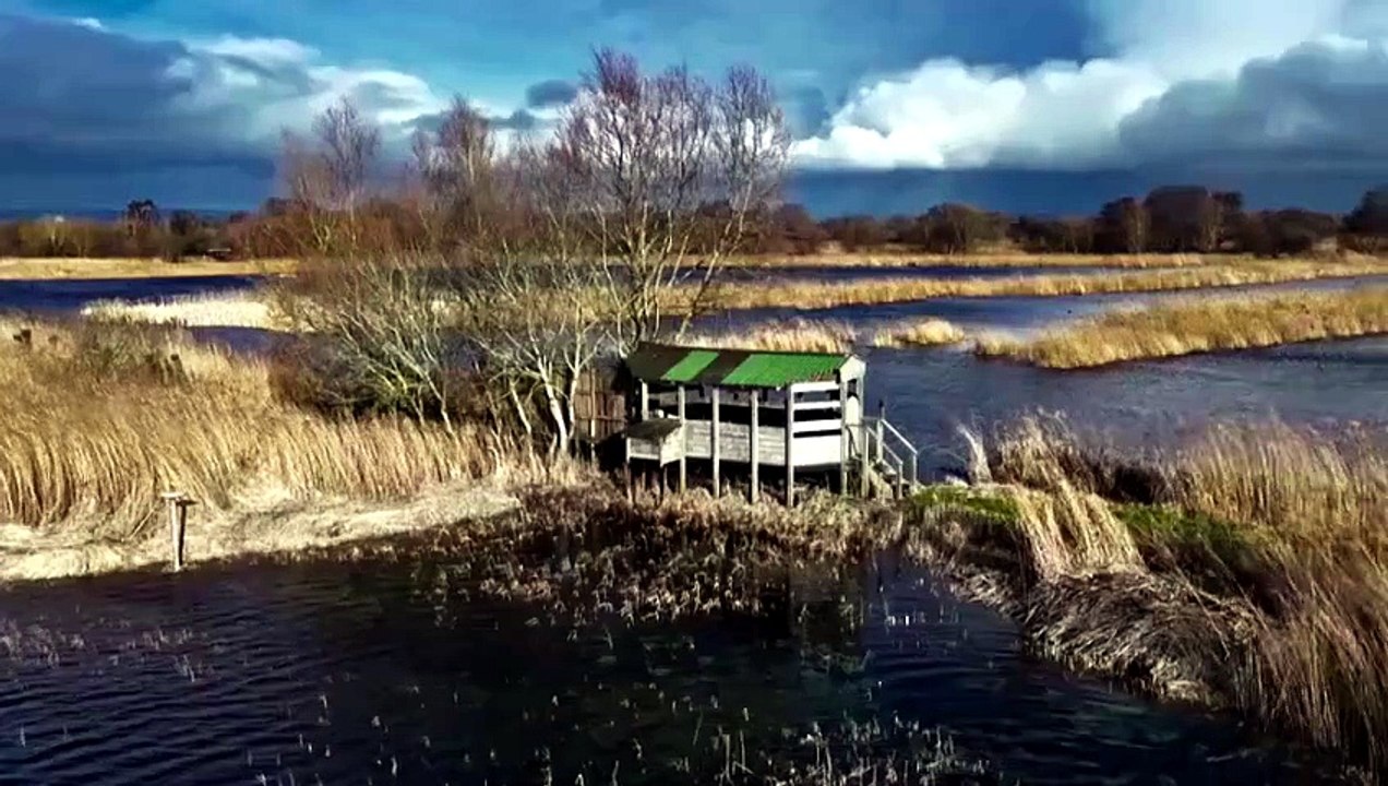 Sam & Ade Go Birding - Season 1 Episode 3 - video Dailymotion