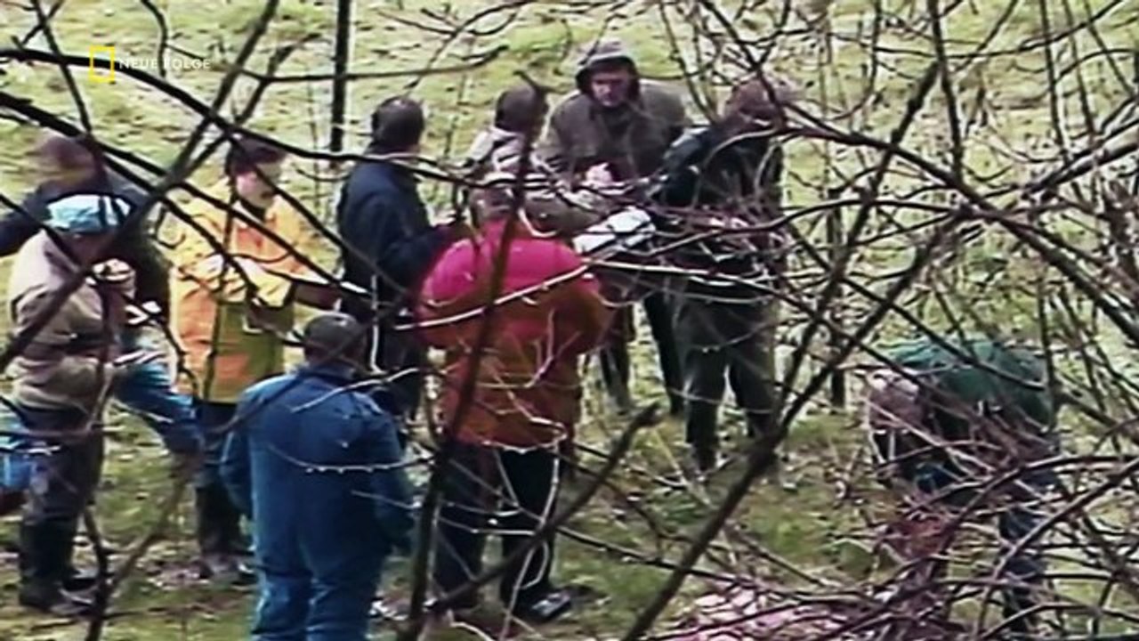 Air Crash Investigation S26E03 A Perfect Storm - video Dailymotion
