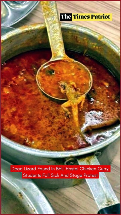 Dead Lizard Found In BHU Hostel Chicken Curry, Students Fall Sick And ...