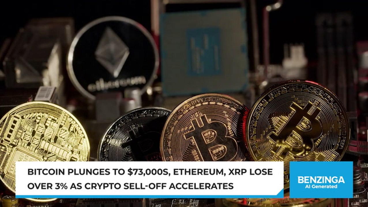 BTC's 2018 Bear Repeat - video Dailymotion