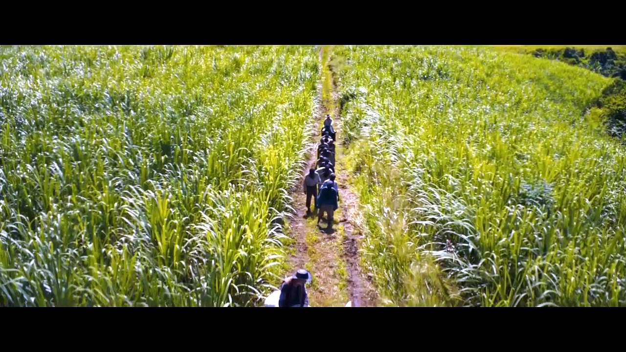 FURCY, NÉ LIBRE (2025) Bande Annonce VF - HD [Full Movie] - video ...