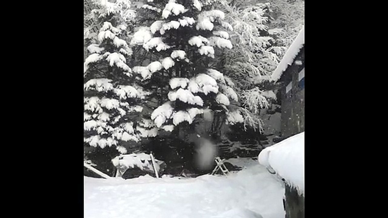 E in Appennino la primavera torna in bianco. Video: la neve a Lago ...