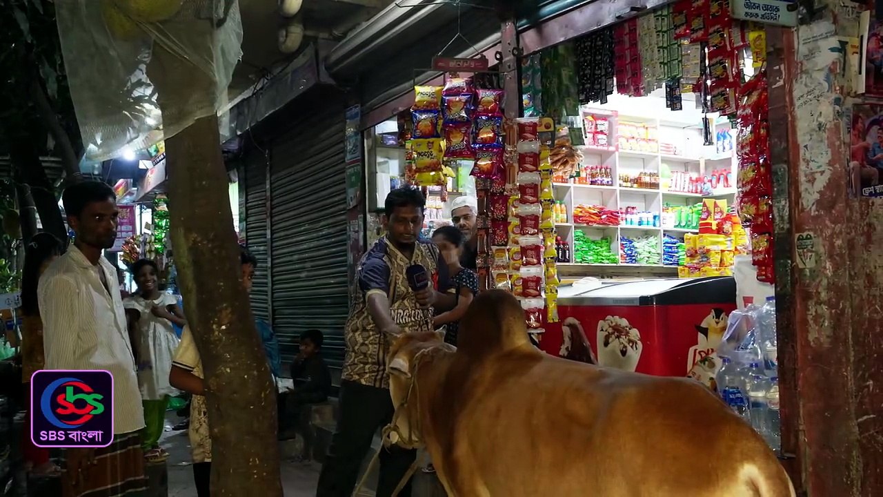কোরবানির গরু কেমন দাম দিয়ে কিনলেন? | Qurbani cow price 2026 | SBS ...