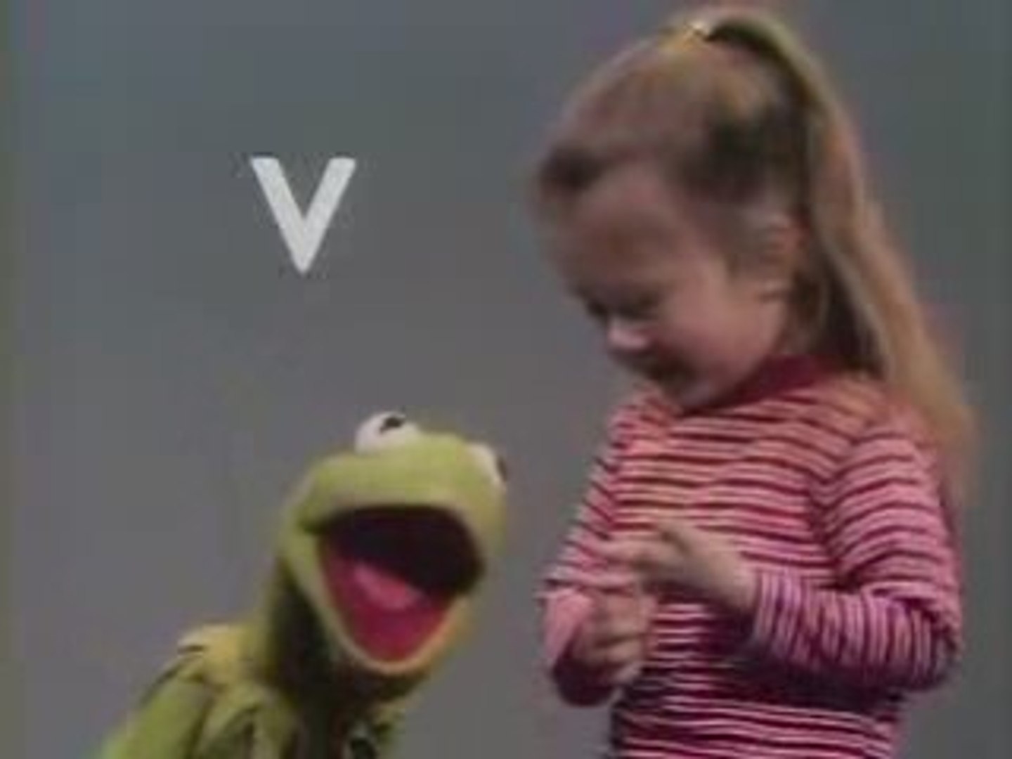 Kermit And Joey Meme