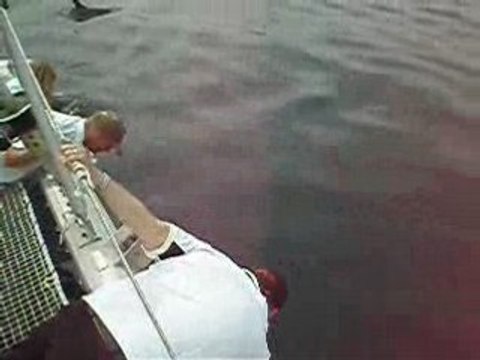 Captain Stan Markland videos - Dailymotion