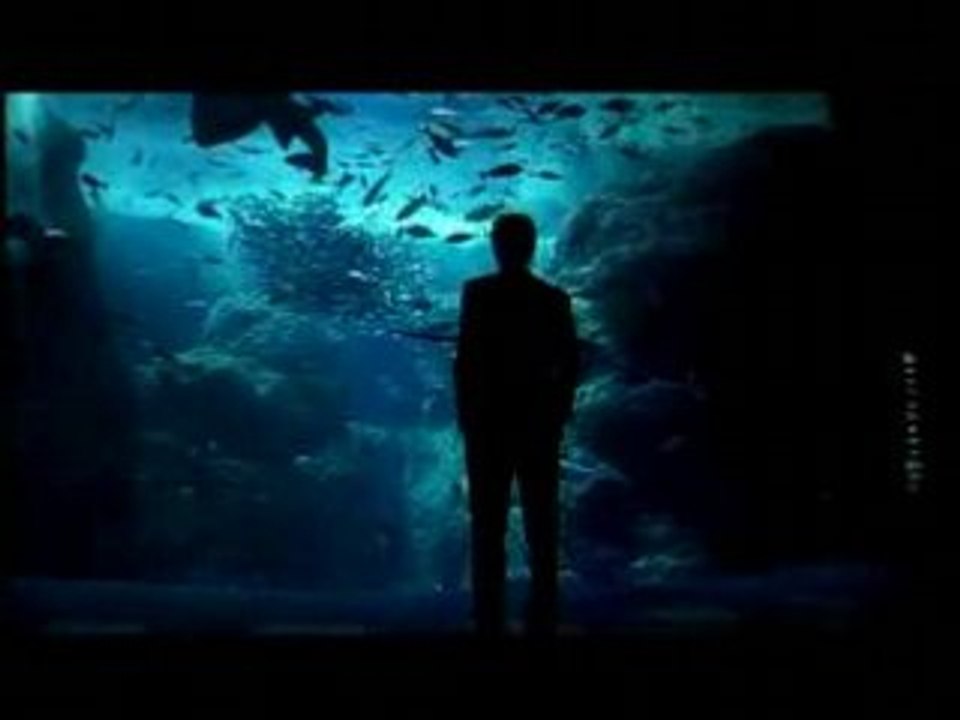 TLA Releasing Schoolboy Crush (Boys Love the Movie) trailer - video ...