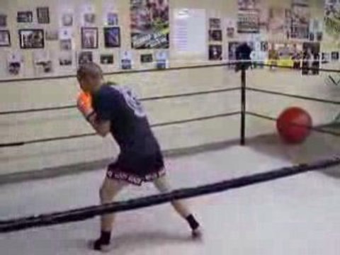 Rob Pilger videos - dailymotion