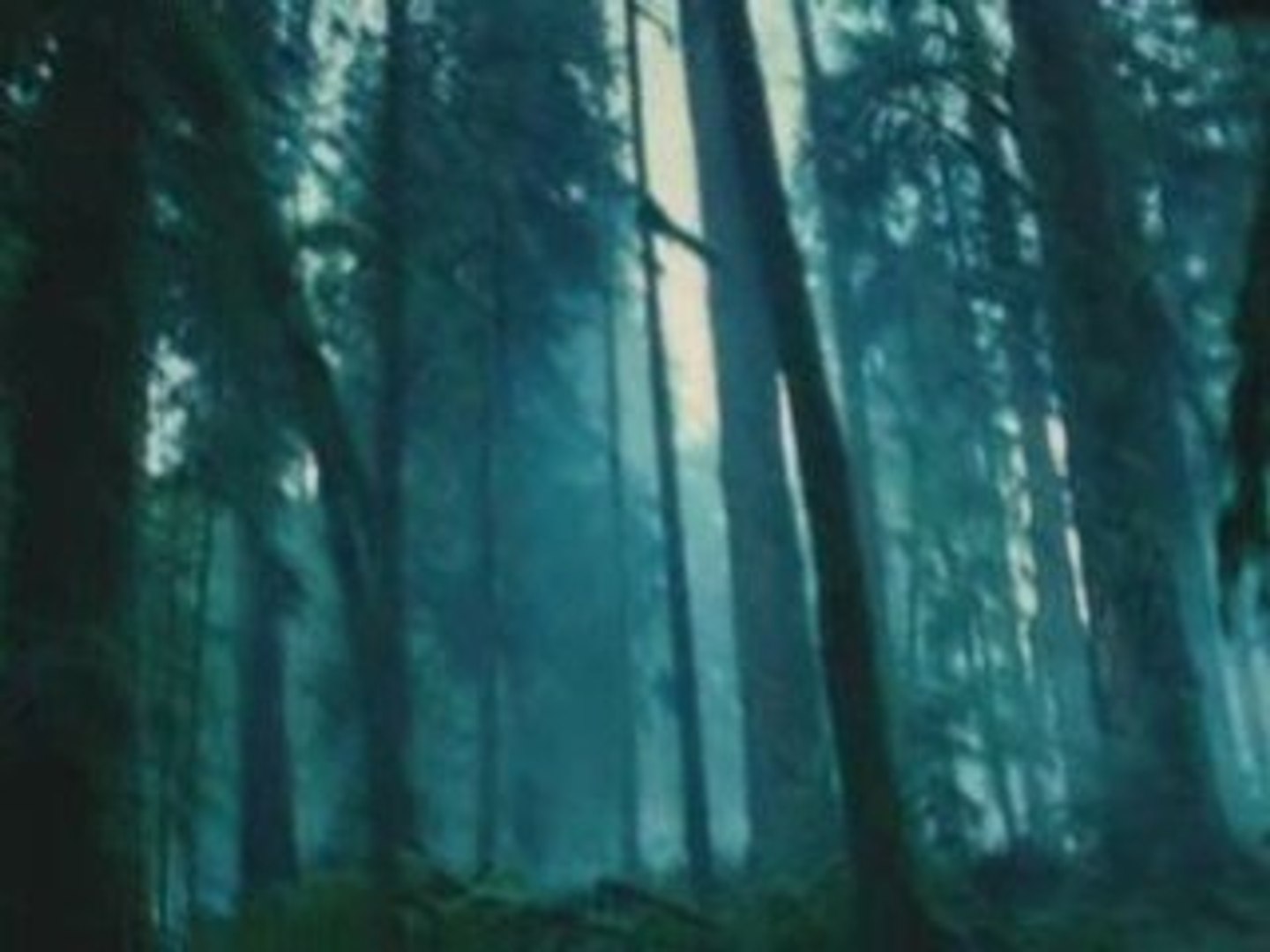 Twilight Woods Scene