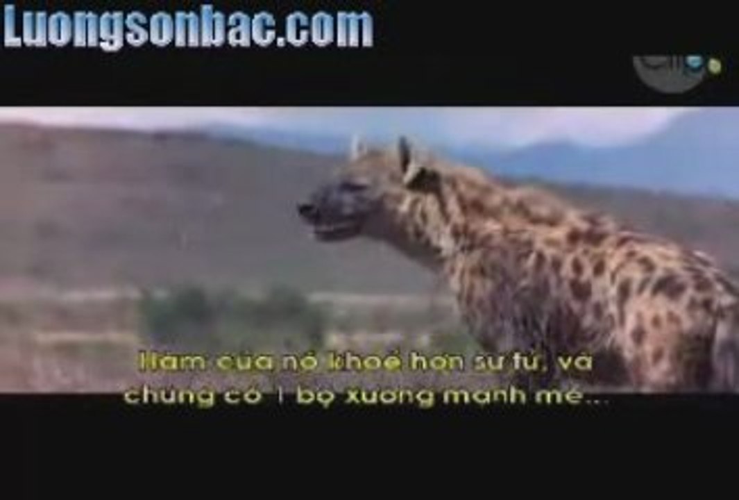 Den Thuong De Cung Phai Cuoi 3 - Tap 1_chunk_1_chunk_2 - video Dailymotion