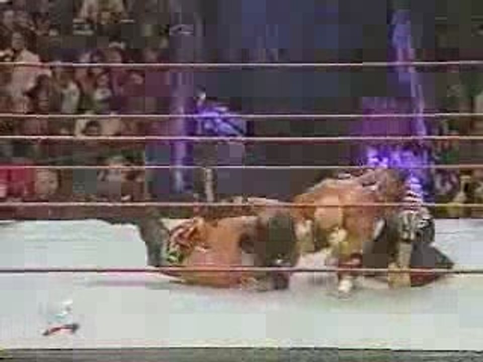 Royal Rumble 2000 Y2J vs Chyna vs Hardcore Holly - Vidéo Dailymotion